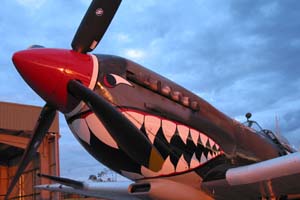 SpitfireSpares.com - warbird Instruments